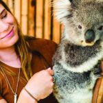 Puffing Billy Escapade and Moonlit Sanctuary Wildlife Magic - The Practical Side: Pricing, Booking, and What’s Not Included