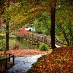 Puffing Billy Railway: Heritage Steam Train Journey - The Route and Journey Options