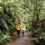 Puffing Billy & Rainforest Tour from Melbourne - Who Would Enjoy This Tour?