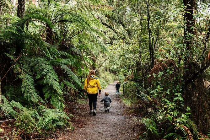 Puffing Billy & Rainforest Tour from Melbourne - Who Would Enjoy This Tour?