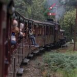 Puffing Billy Steam Train & Cherry Picking Tour from Melbourne - Who Will Love This Tour?