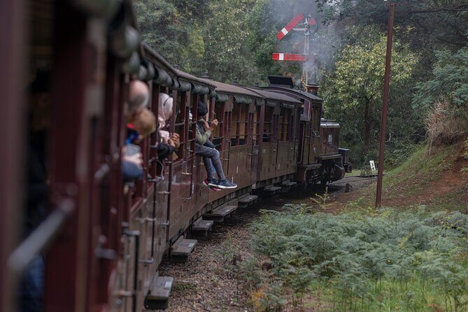 Puffing Billy Steam Train & Cherry Picking Tour from Melbourne - Who Will Love This Tour?