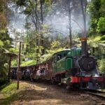 Puffing Billy Train and Penguins Wildlife Tour - Who Should Consider This Tour?