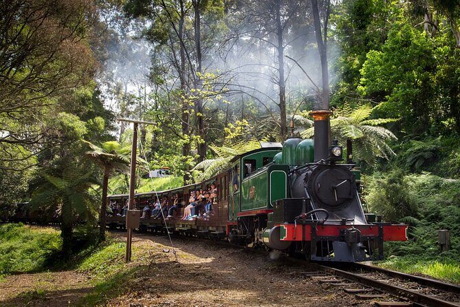 Puffing Billy Train and Penguins Wildlife Tour - Who Should Consider This Tour?
