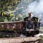Puffing Billy Train and Phillip Island Penguin Parade Day Tour - What Does the Tour Include and Exclude?