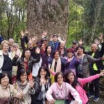 Puketi Rainforest Guided Walks .This is not a Shore Excursion product . - What’s Included and What You Should Bring