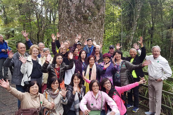 Puketi Rainforest Guided Walks .This is not a Shore Excursion product . - What’s Included and What You Should Bring