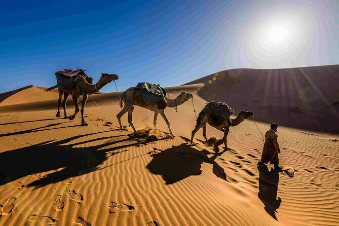 Pushkar Camel Safari Adventure - The Value Proposition