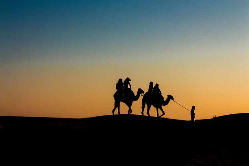 Pushkar: Camel Sunset Safari Adventure - The Experience from Different Perspectives