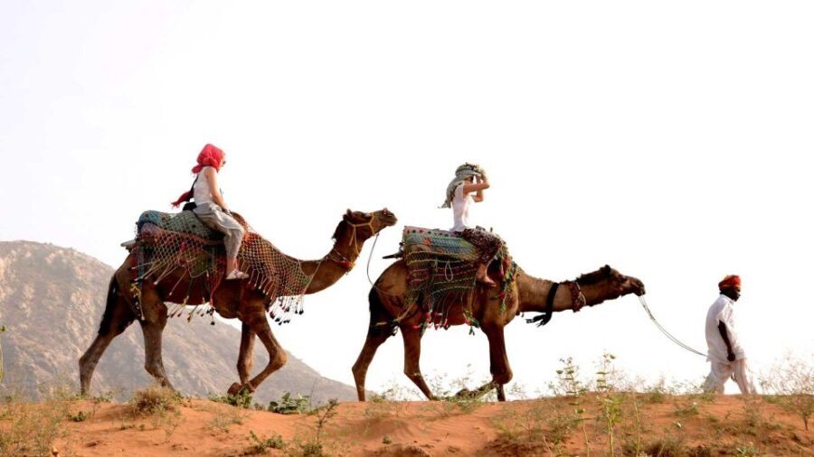 Pushkar Day Trip with Camel Safari From Jaipur By Car. - Explore the Spiritual Heart of Pushkar