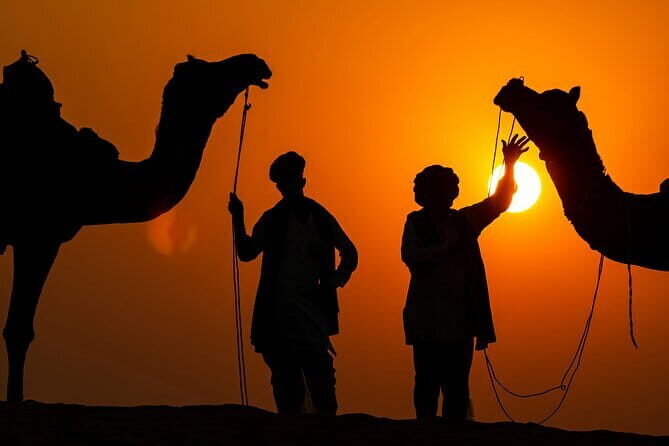 Pushkar: Private Guided day tour From Jaipur - The Practical Details