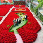 Quang Phu Cau Incense Village & Ninh Binh Highlights 1 Day - Practical Tips for Travelers