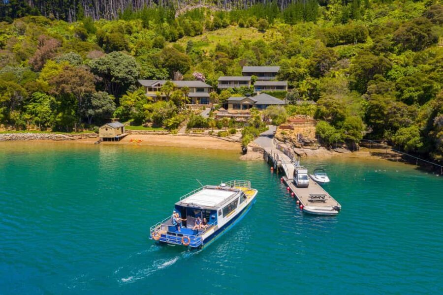 Queen Charlotte Sound: Lochmara Cruise and Explore Day Trip - Introduction: A Snapshot of the Lochmara Day Trip
