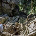 Queensland: 90 Minute Capricorn Caves Explorer Tour - Who Will Enjoy This Tour?