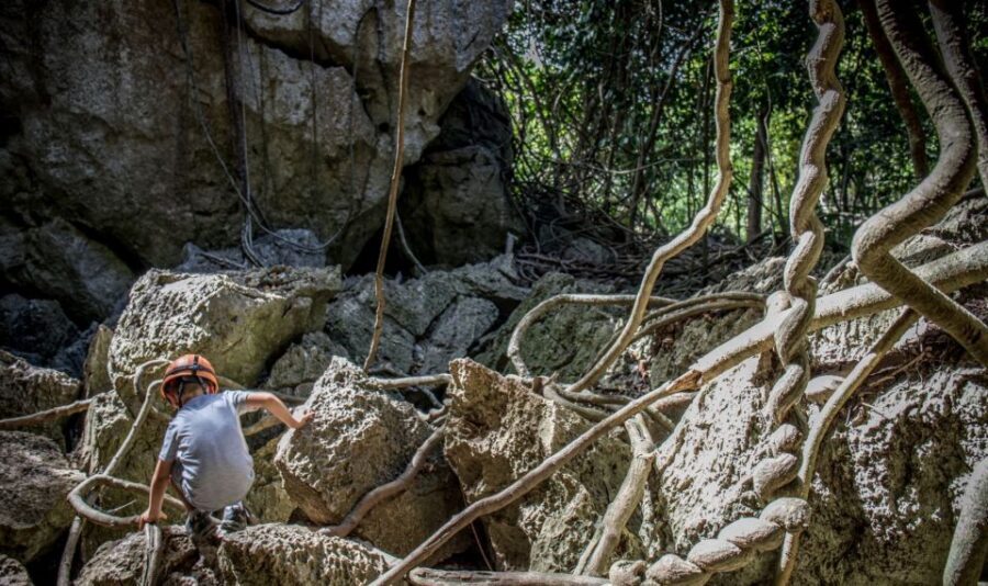 Queensland: 90 Minute Capricorn Caves Explorer Tour - Who Will Enjoy This Tour?