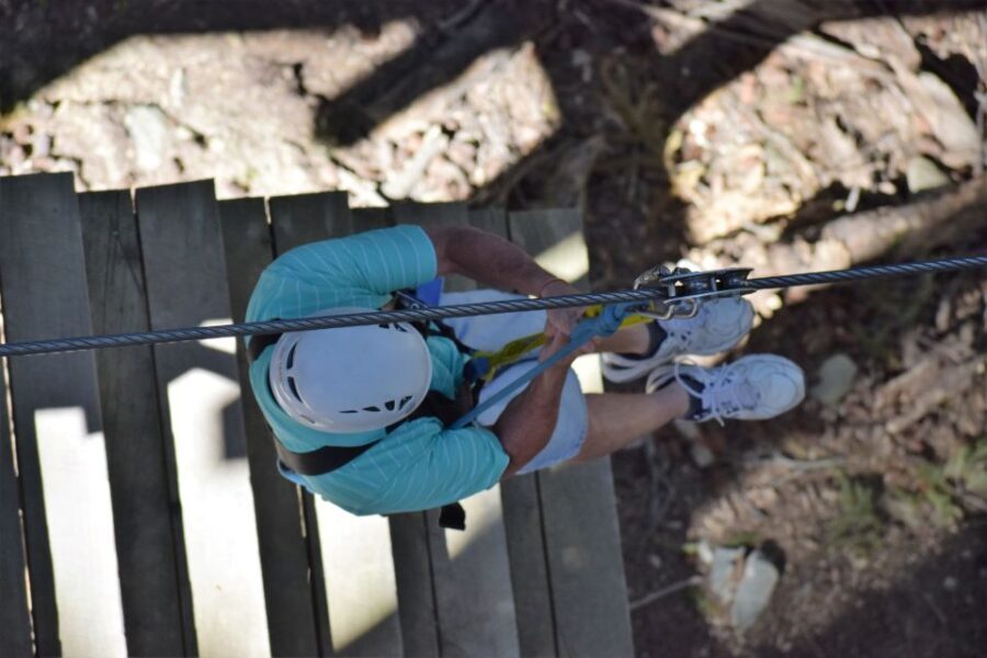 Queenstown: 2-Hour Zipline Tour with 4-Lines - The details of the tour