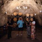 Queenstown Classic Wine Tour: 3 Winery Visits, Cave Tour & Cheese - How It’s Structured