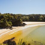 Queenstown: Day Trip to Stewart Island via Scenic Flight - What Makes This Tour Stand Out