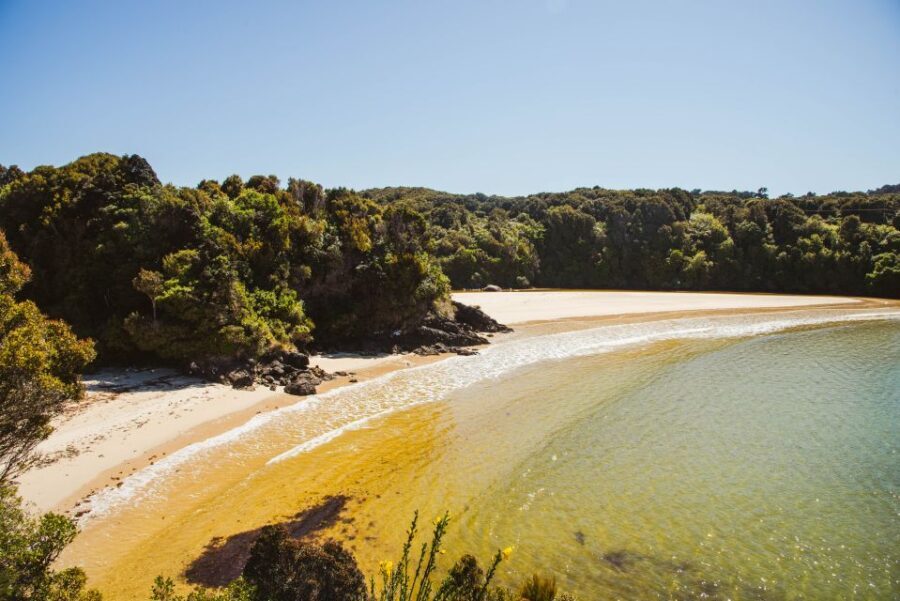 Queenstown: Day Trip to Stewart Island via Scenic Flight - What Makes This Tour Stand Out
