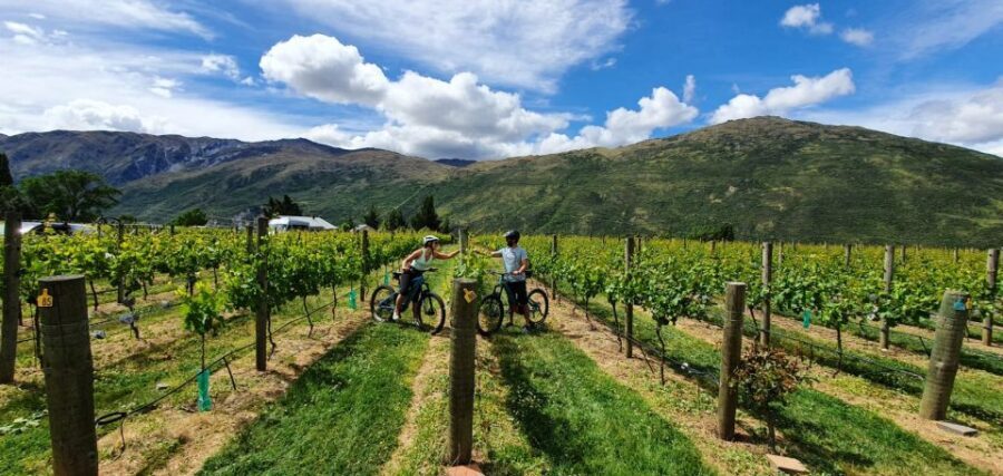 Queenstown: Guided E-Bike Tour with Winery Visits & Tastings - Exploring the Itinerary: What You Can Expect