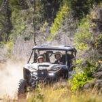 Queenstown Guided Self-Drive Buggy Tour - What Sets This Tour Apart?