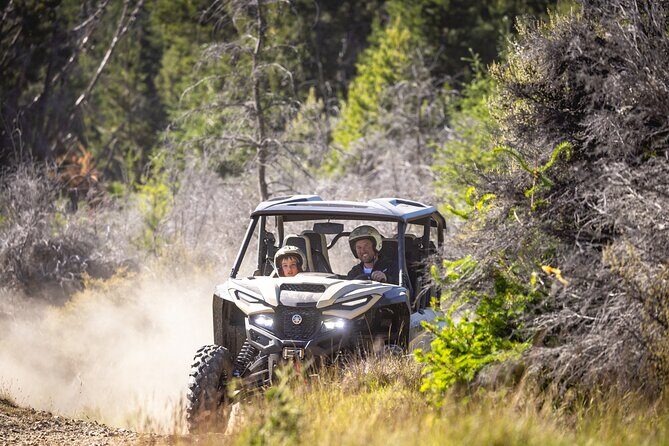 Queenstown Guided Self-Drive Buggy Tour - What Sets This Tour Apart?