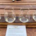 Queenstown More Than A Wine Tour - Who Should Consider This Tour?