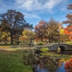 Queenstown Private day tour from Dunedin - The Practical Side: Transportation, Cost, and Value