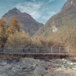 Queenstown: Routeburn Track Guided Full-Day Walk or Half Day - Half-Day Walk: For Those Looking for a Lighter Touch