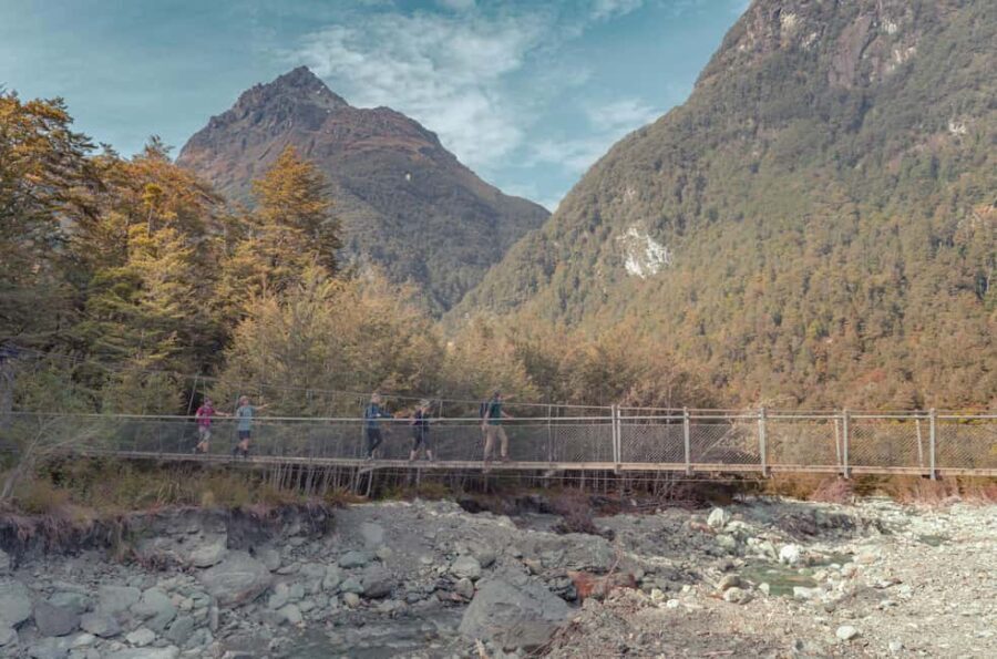 Queenstown: Routeburn Track Guided Full-Day Walk or Half Day - Half-Day Walk: For Those Looking for a Lighter Touch