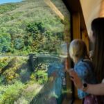 Queenstown to Dunedin Including Train, Small-Group Tour (One-Way) - Who Will Love This Tour?