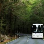 Queenstown to Franz Josef Day Tour - Transport & Timing