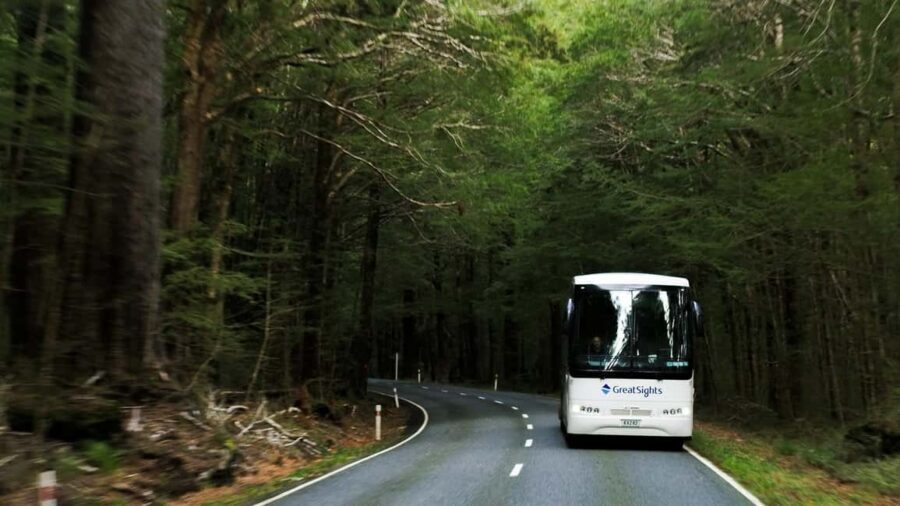 Queenstown to Franz Josef Day Tour - Transport & Timing