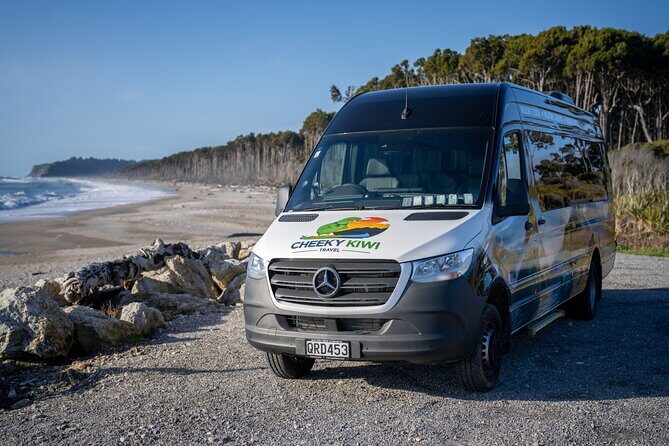 Queenstown to Franz Josef via Wanaka Small Group Day Tour (1-Way) - What Travelers Say