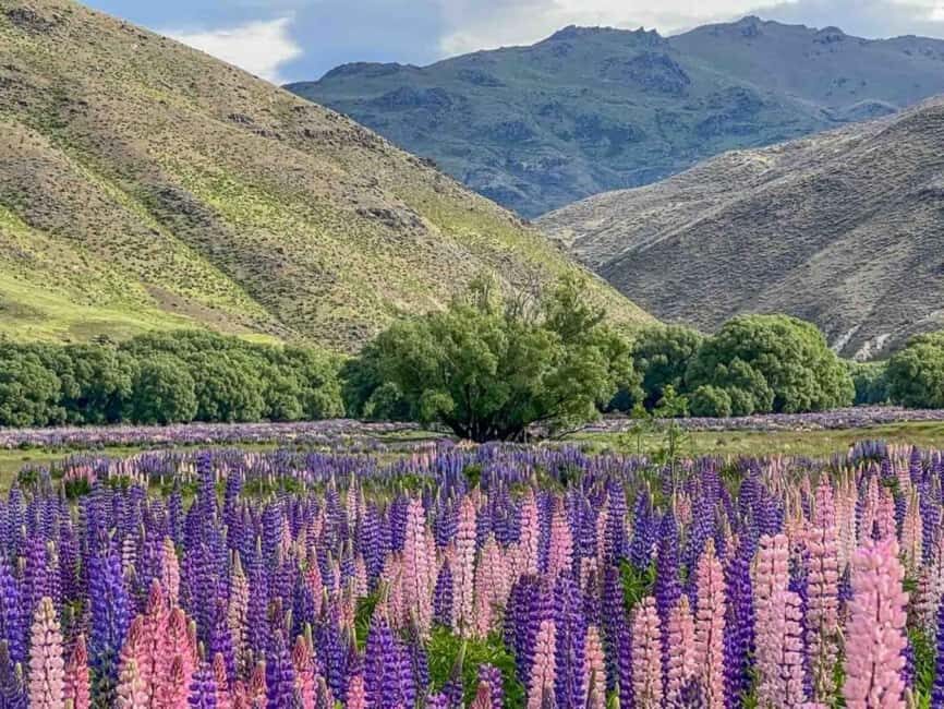 Queenstown to Mt Cook guided overnight tour - The Sum Up
