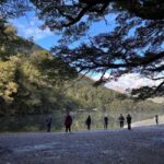 Queenstown to Te Anau via Milford Sound inc Cruise & Lunch - Practical Details & Value