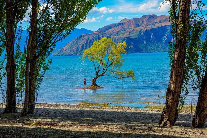 Queenstown to Wanaka One Way Small Group Tour - Transportation and Group Size: Why It Matters