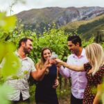Queenstown: Twilight Wine and Craft Beer Tour - What’s Included and How It Works