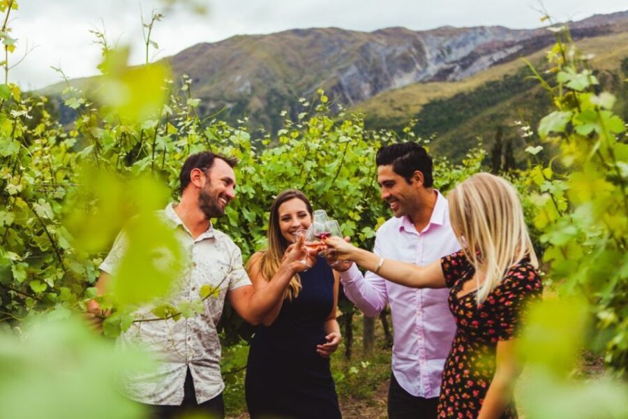 Queenstown: Twilight Wine and Craft Beer Tour - What’s Included and How It Works