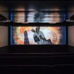 Queenstown: Underwater Theatre Experience Entry Ticket - The Value of the Experience