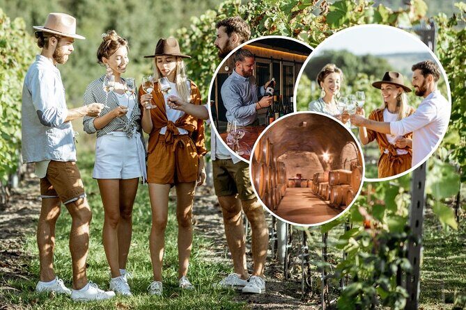 Queenstown Wine Tour with Wine Dog | Adults Only - What Makes This Tour Stand Out?