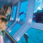 Quicksilver Outer Great Barrier Reef Snorkel Cruise from Palm Cove - The Journey to Agincourt Reef
