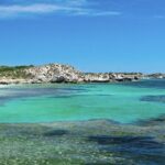 Quokkas Delight Rottnest Island - Analyzing the Value