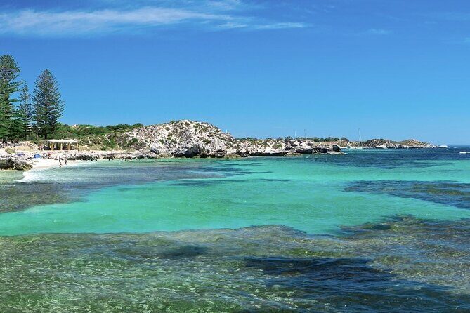 Quokkas Delight Rottnest Island - Analyzing the Value