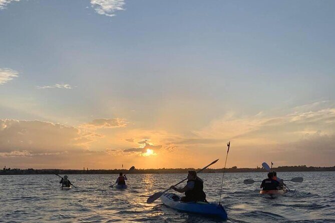 Raby Bay Wildlife Kayak Tour - Detailed Itinerary Breakdown
