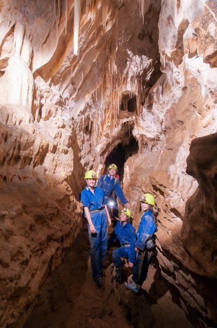 Raglan: Guided Cave Adventure with Glow Worms - What to Expect During the Tour