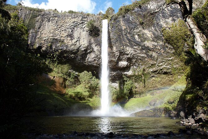 Raglan New Zealand Adventure Tour from Auckland - What’s Included and What’s Not