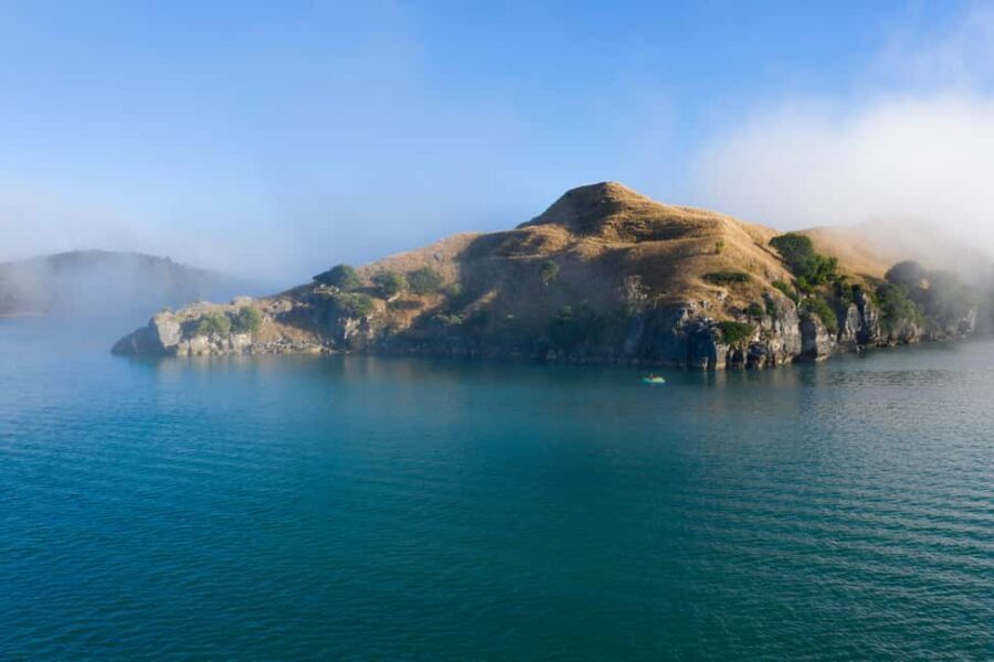 Raglan: Scenic Harbour Sunset Cruise - A Deep Dive into Raglan’s Sunset Cruise