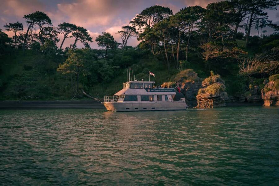 Raglan: Scenic Nature Boat Cruise - Diving Into the Experience