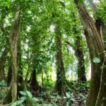 Raiatea Island or Taha'a Boat Tour - Meeting and End Points